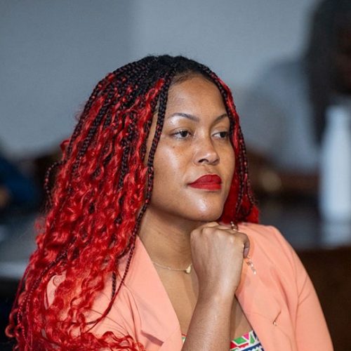 Ambassador Communities - D'Aniello Institute for Veterans and Military ...